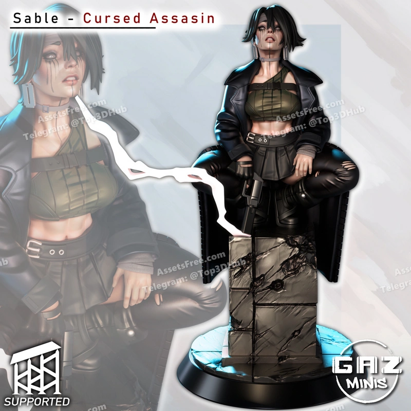 Sable Assassin Model » Free High-Quality Models | AssetsFree.com