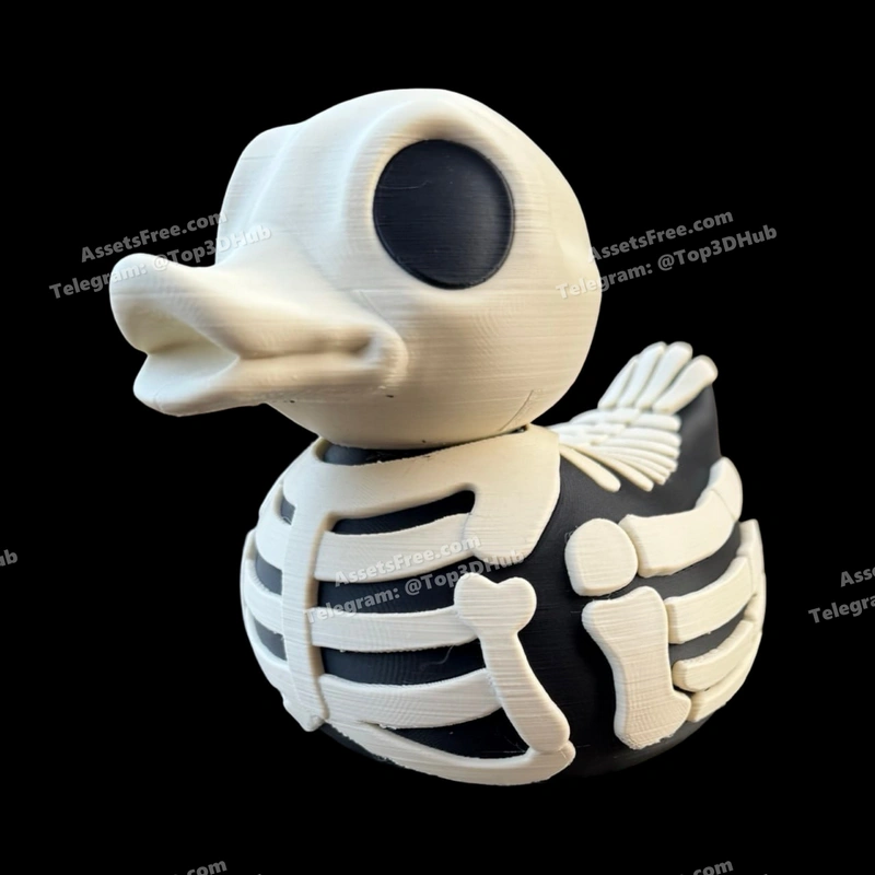 Duck Skeleton » Free High-Quality Models | AssetsFree.com